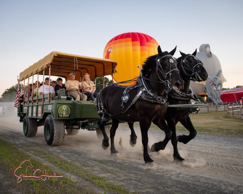 The Warrior Wagon | Legiontown U.S.A.
